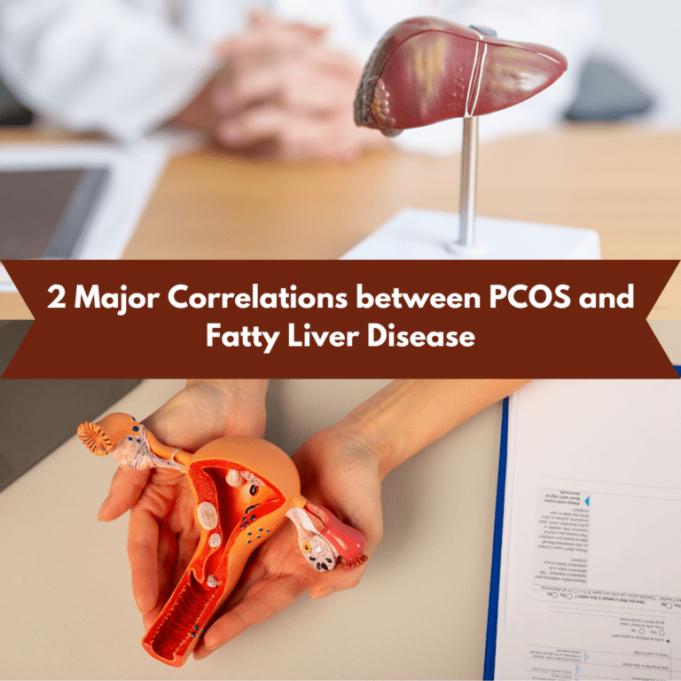 2 Major Correlations Between PCOS And Fatty Liver Disease